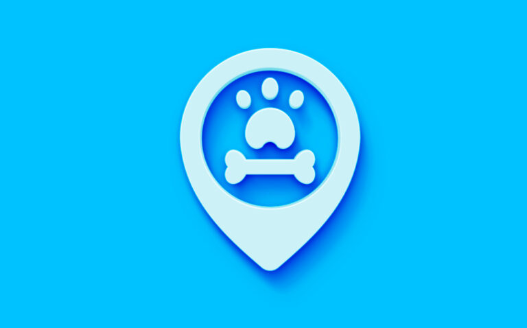 200+ Pet Store Names: Finding the Perfect Name for Your Pet Business ...